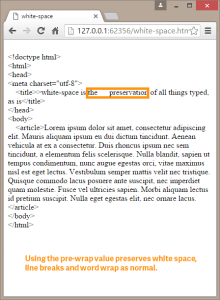 Preserving White Space Using CSS - SkillForge