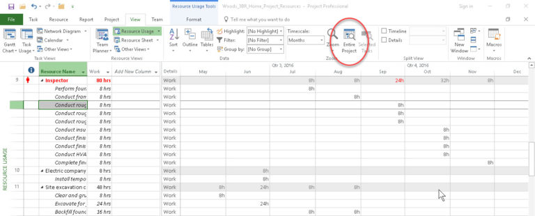 The Resource Usage View in Project - SkillForge